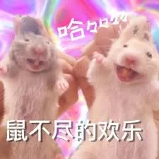 王二狗他哥敲棋 