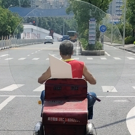 百分百的算命砖家 