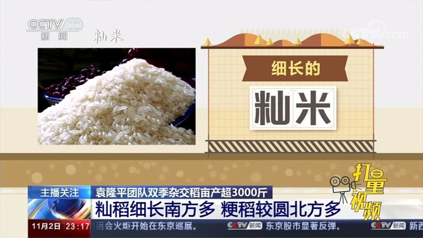 干货满满!教你如何区分夏粮秋粮、早中晚稻、籼稻粳稻|24小时