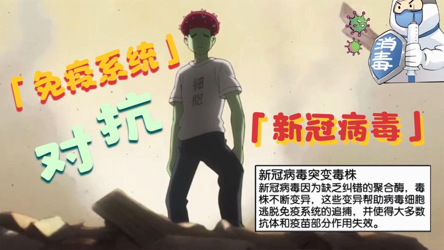 免疫系统对抗新冠病毒@动画