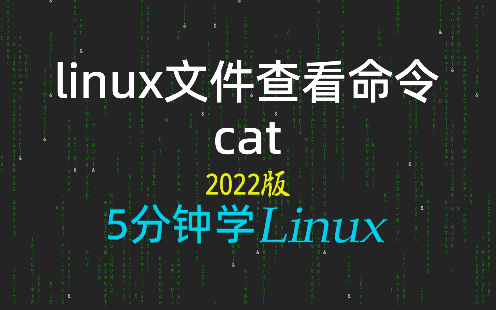 [5分钟学linux] 14-linux基础文件查看命令cat详解-2022新linux极速入门...