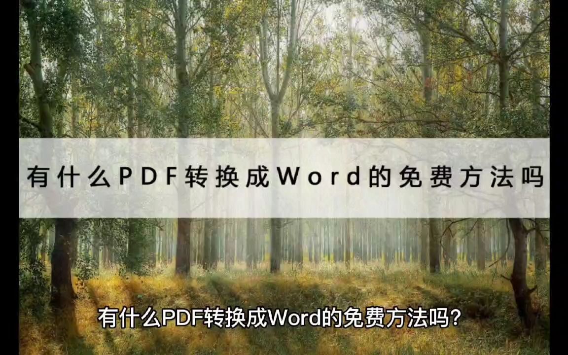 有什么PDF转换成Word的免费方法吗?不如看看这个