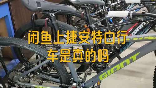 闲鱼捷安特能买吗?内行人揭秘二手自行车捡漏与避坑指南