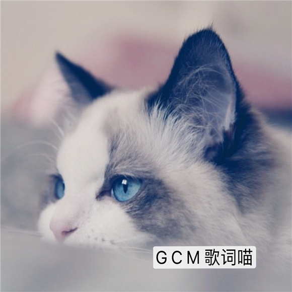 歌词喵音乐 