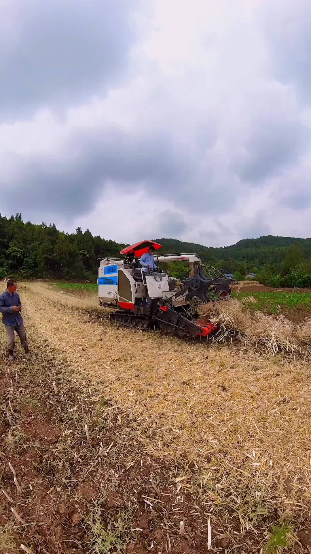 #创作灵感 #收割机 #油菜收割 #农机人 #农村 #三农 四川的老乡收油菜...