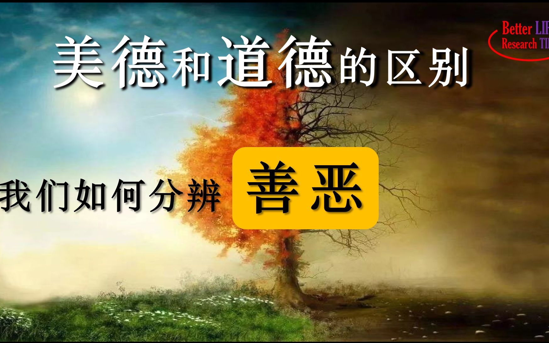 我们如何分辨善恶?美德和道德的区别。如何判断是非善恶的三个伦理...