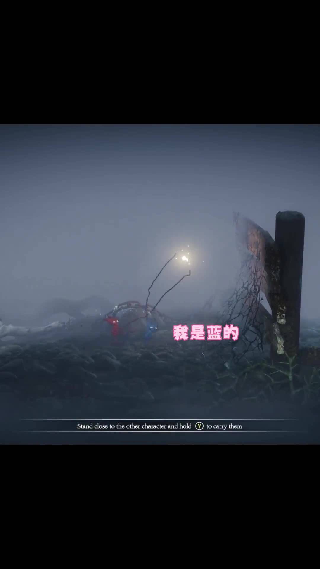 这不森林冰火人嘛