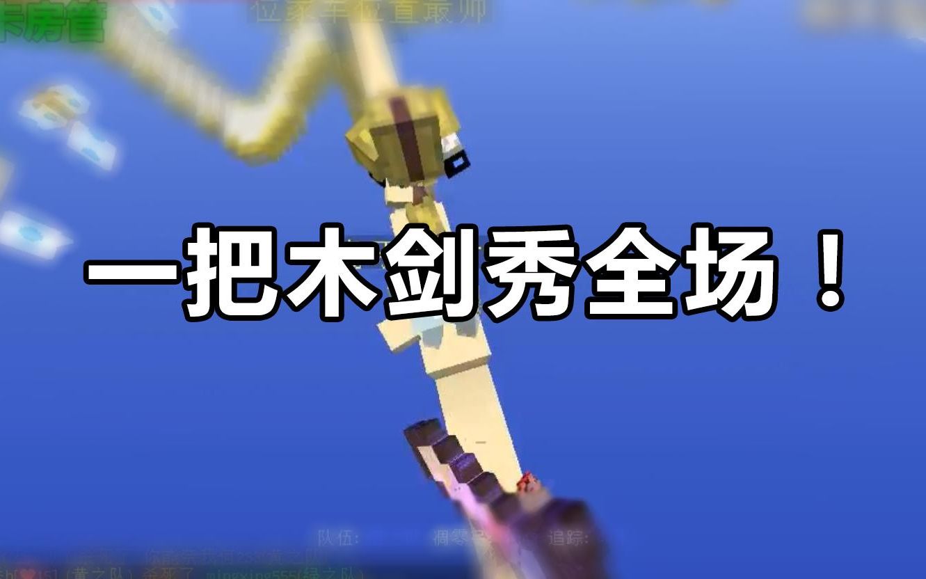 我的世界用一把木剑就能秀全场