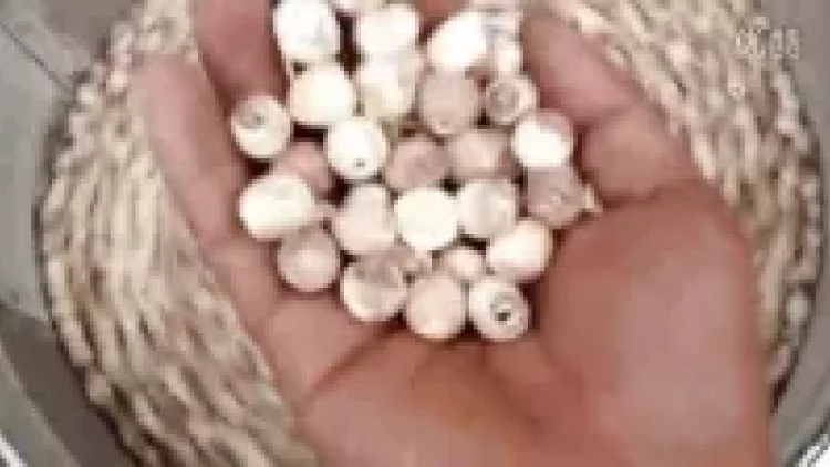 湘一机械 全自动莲子磨皮磨白机 红莲子去皮去衣机 莲子食品加工机器 ...