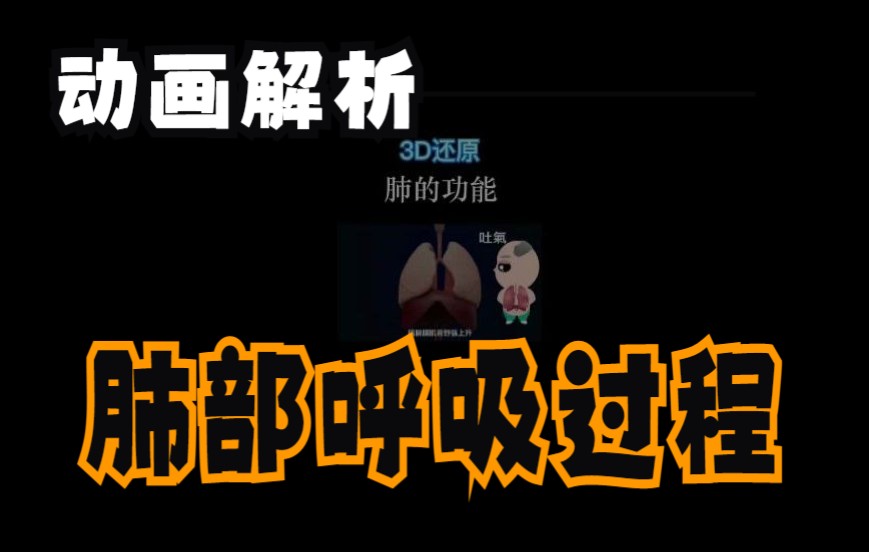 动画解析肺部呼吸过程