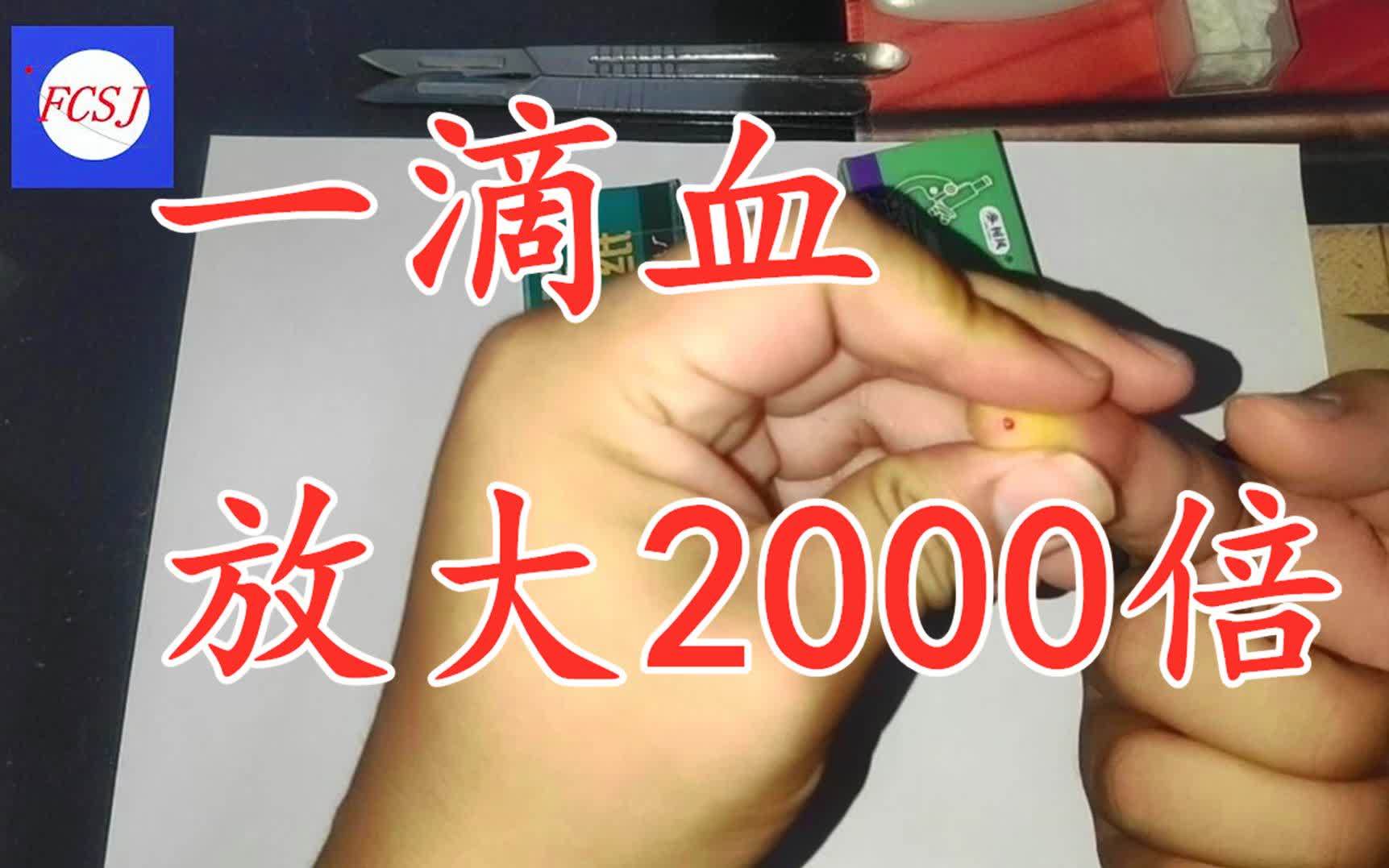 显微镜:血细胞放大2000倍,探索一滴血的微观世界