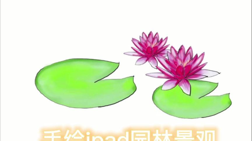 ipad手绘园林景观设计 #睡莲 #ipad景观手绘