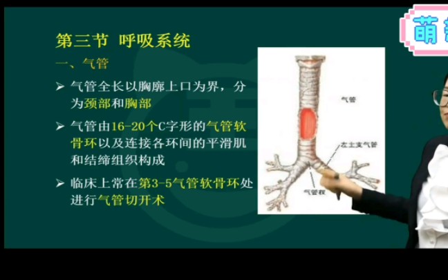 病案信息技术副高/正高/中级/初级课程讲义题库