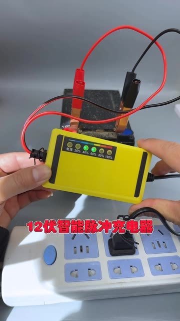 #脉冲充电器 #12伏充电器