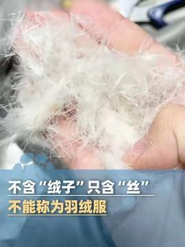 11月3日消息,不含“绒子”只含“丝” 不能称为羽绒服,有人花1315元...