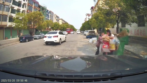 起因是我下车丢了一个纸箱进垃圾桶,等我回到车了两个阿姨就干起