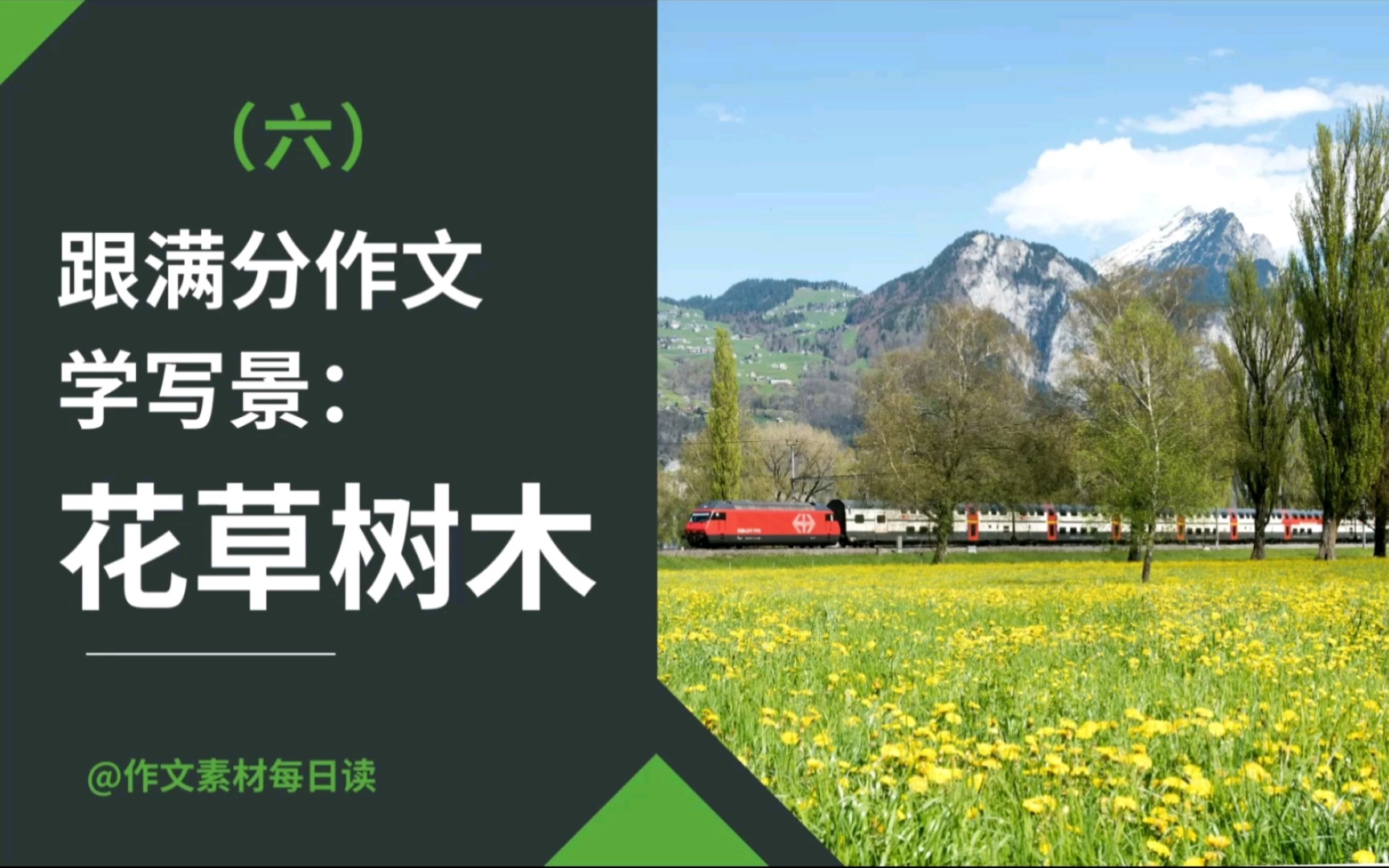 【作文素材配音】跟满分作文学写景(六):花草树木