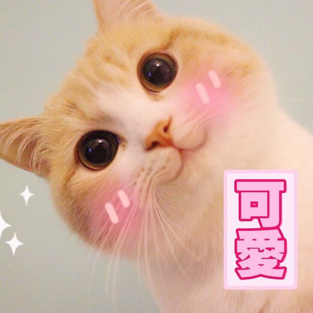 每日一句小日语 