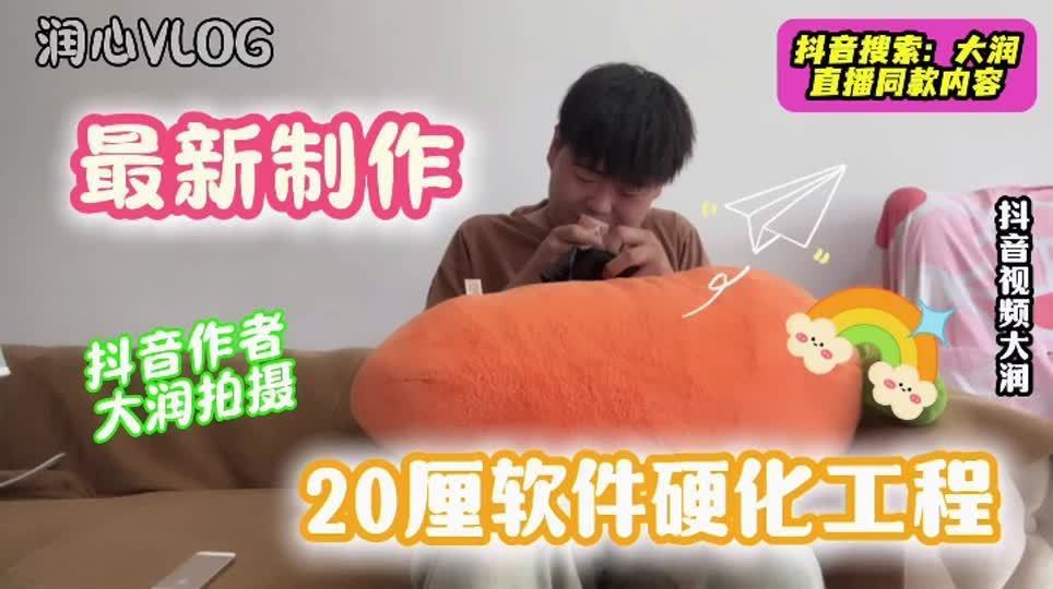 软件硬化工程的教学视频