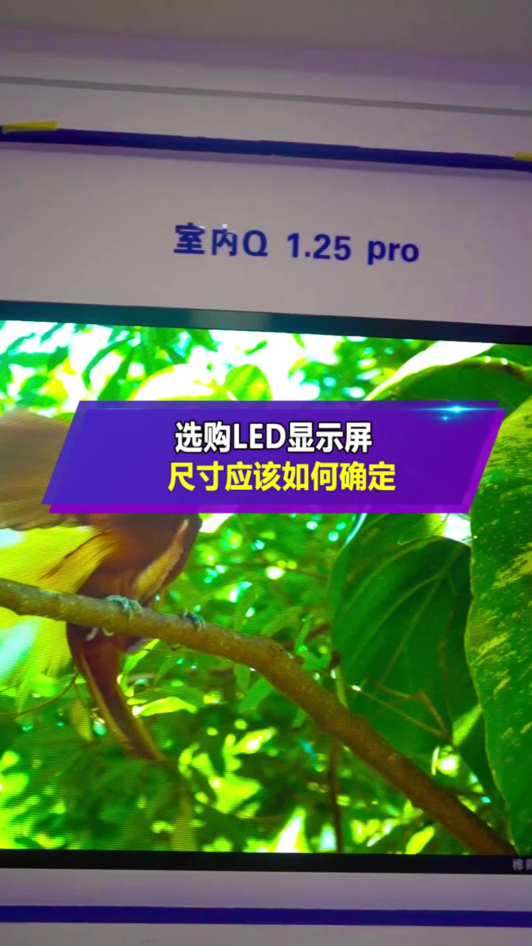 LED显示屏尺寸应该如何确定,10S带你了解一下