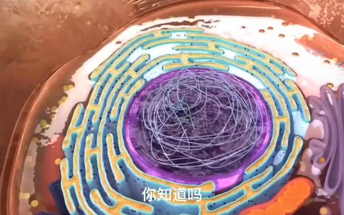 DNA损伤会影响细胞衰老?