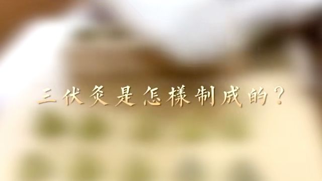 【艾柱制作】艾柱制作方法演示