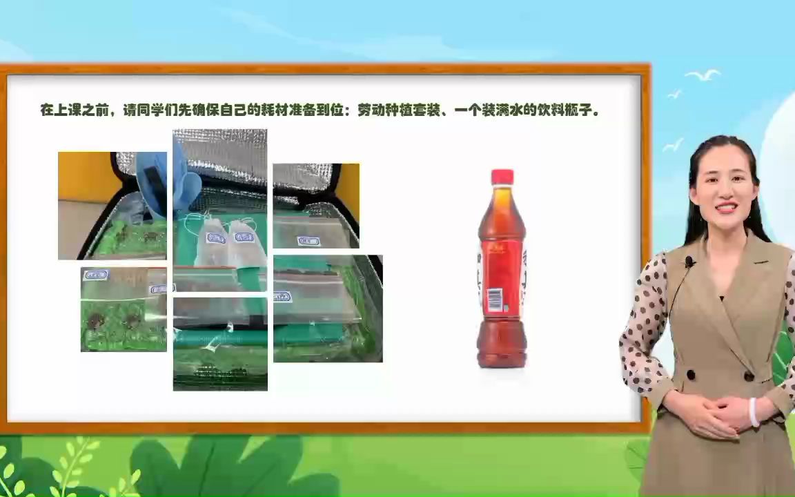 中小学劳动教育任务清单-知耕鸟劳动教育整套实施方案-劳动教育小课堂