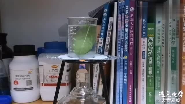 叶脉书签的制作方法!