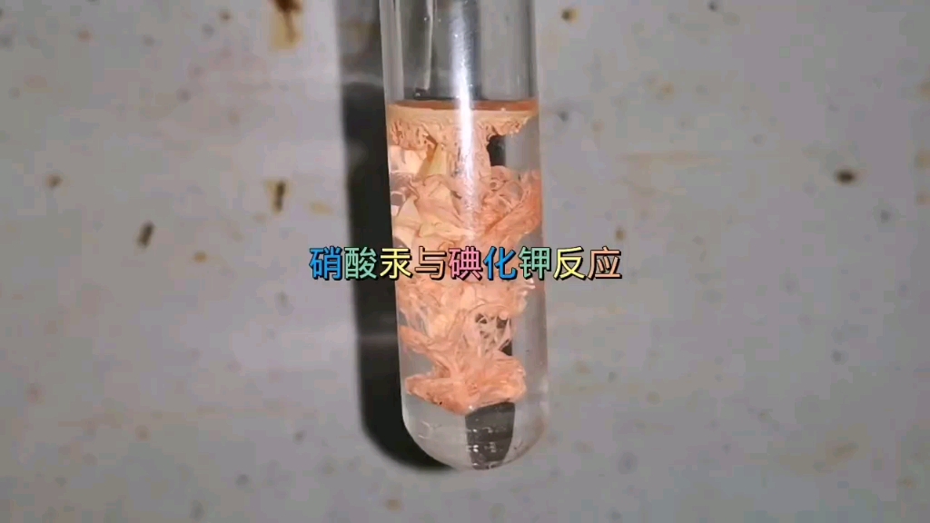 Hg离子与碘离子反应