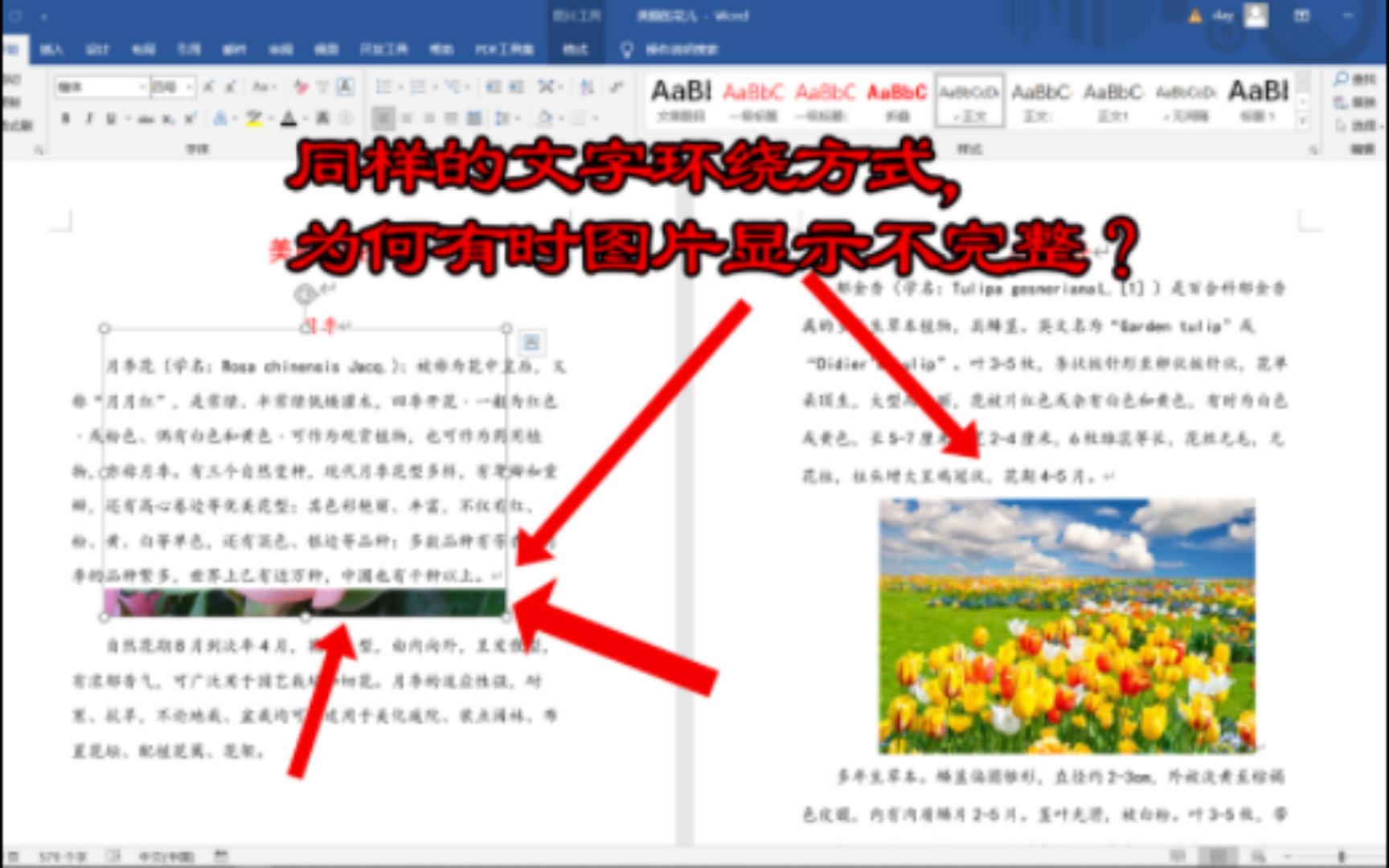 word文档插入的图片为何显示不完整?原因意外,这样操作轻松解决