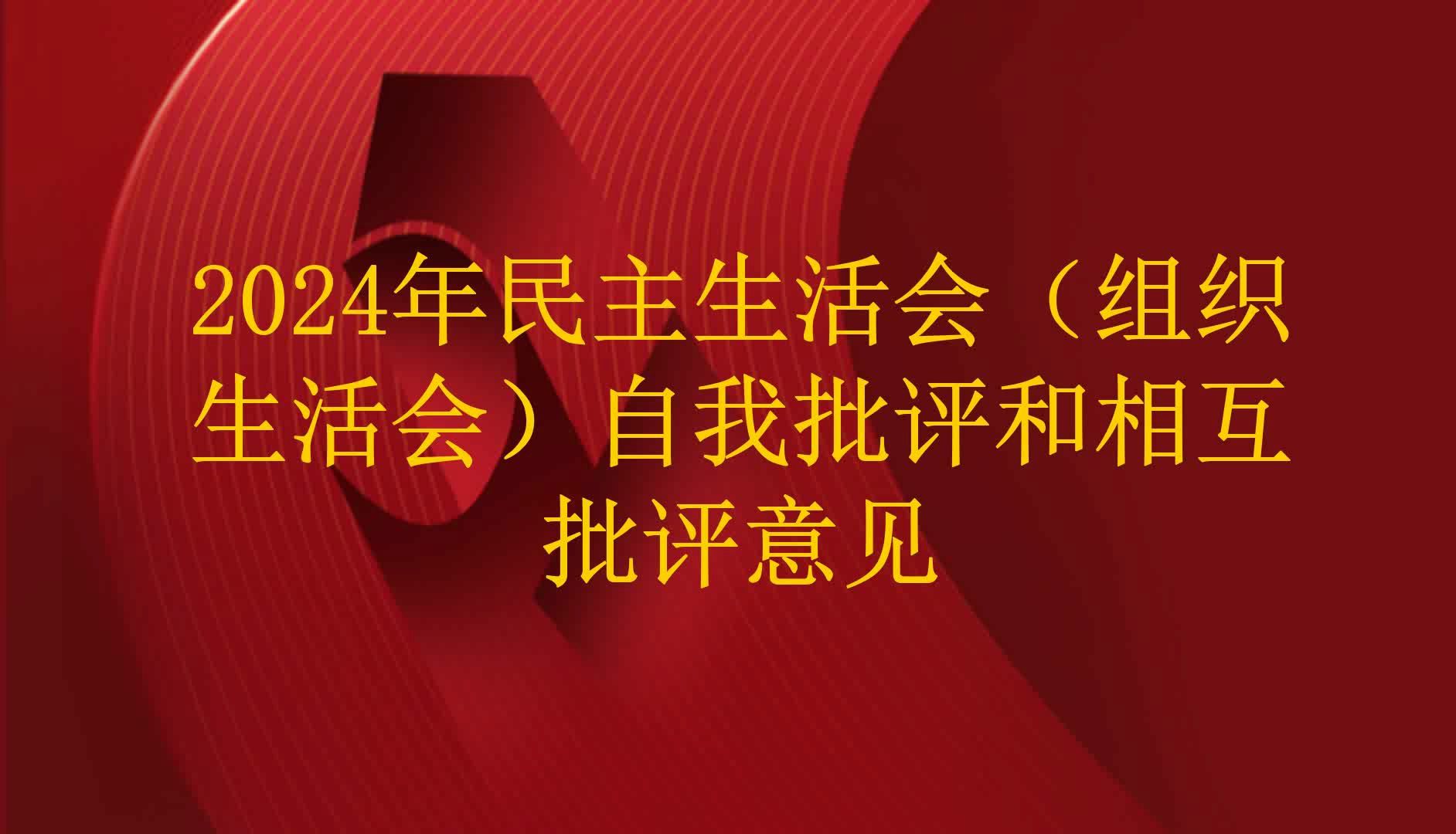 2024年民主生活会(组织生活会)自我批评和相互批评意见