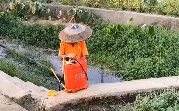 六个便宜又好用的农药,记得收藏哦