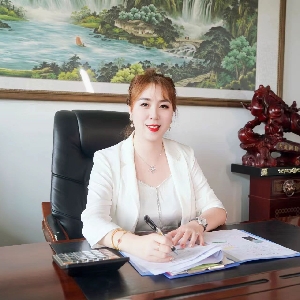 沈阳盛家隆路灯照明 