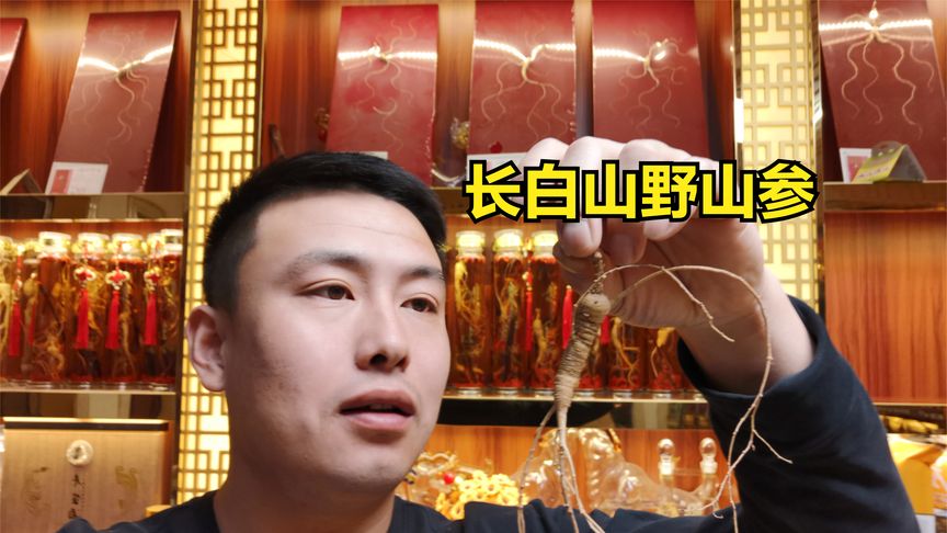 长白山小哥在家里给大家看,纯正长白山野山参,林下参,野籽参