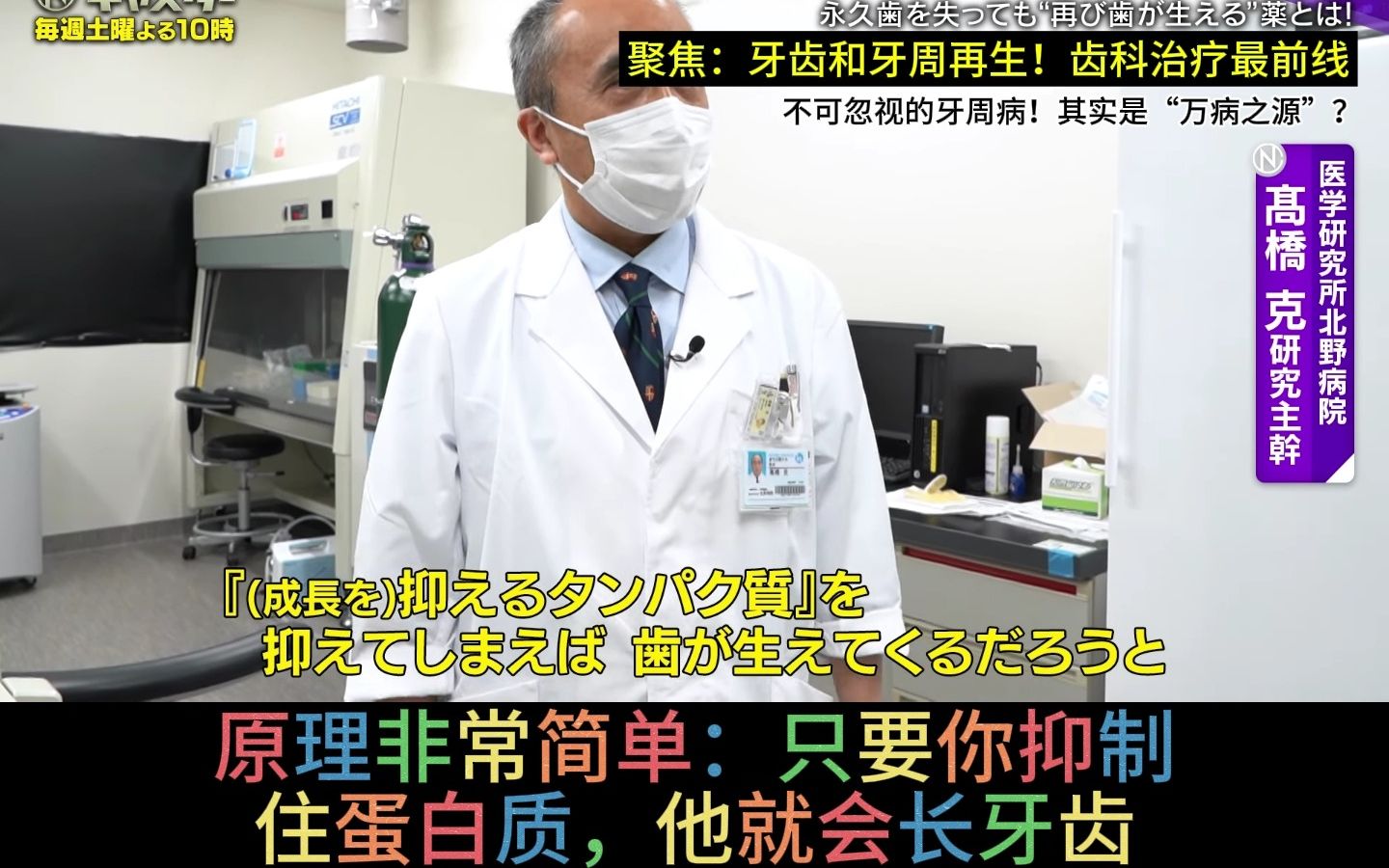 日本全牙再生和牙槽骨再生