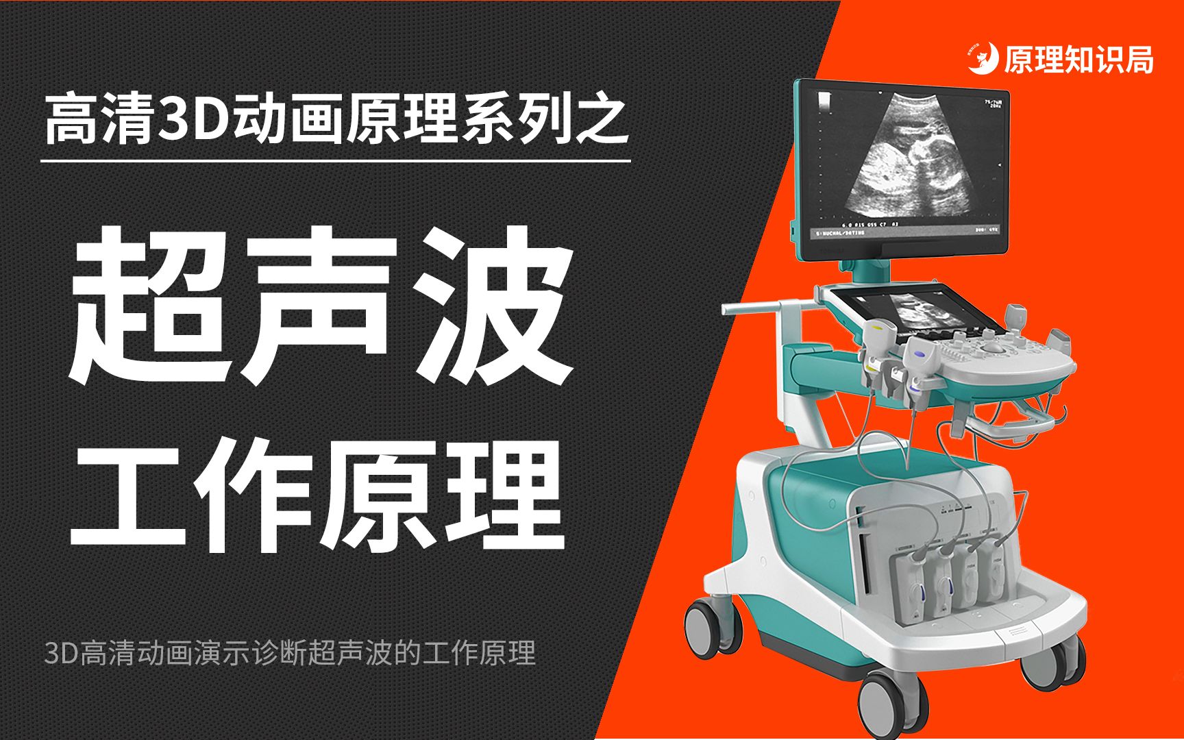 超声波是如何工作的?高清3D动画演示