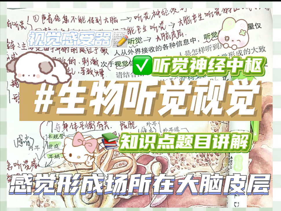 初中生物视觉听觉神经中枢怎么考?