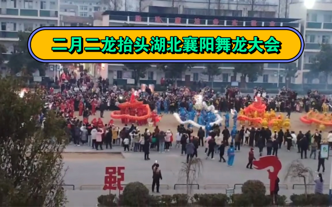 二月二龙抬头湖北襄阳舞龙舞狮表演大会!热闹非凡!