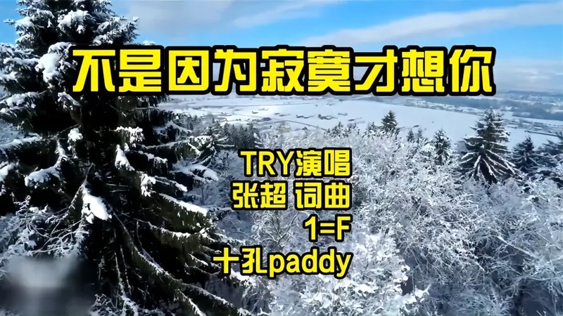 口琴演奏:TRY《不是因为寂寞才想你》,旋律忧伤,歌词心酸流泪