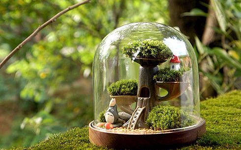 无需喂食与换水的简易水中生态瓶,简直懒癌手残福利