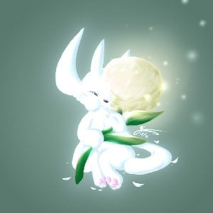 雪泪寒xzh 