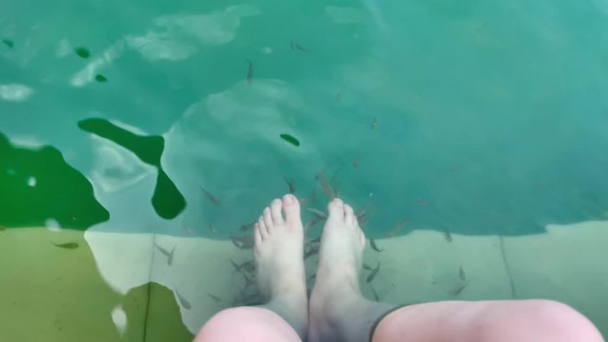 #清澈见底 #光脚 #鱼疗 痒得受不了ߘ