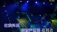 许巍mv-温暖 (Live于2013.12.28昆明站)