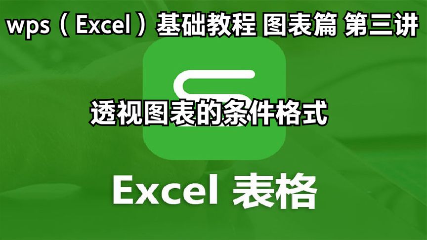 wps(Excel)基础教程 图表篇 第三讲 透视图表的条件格式