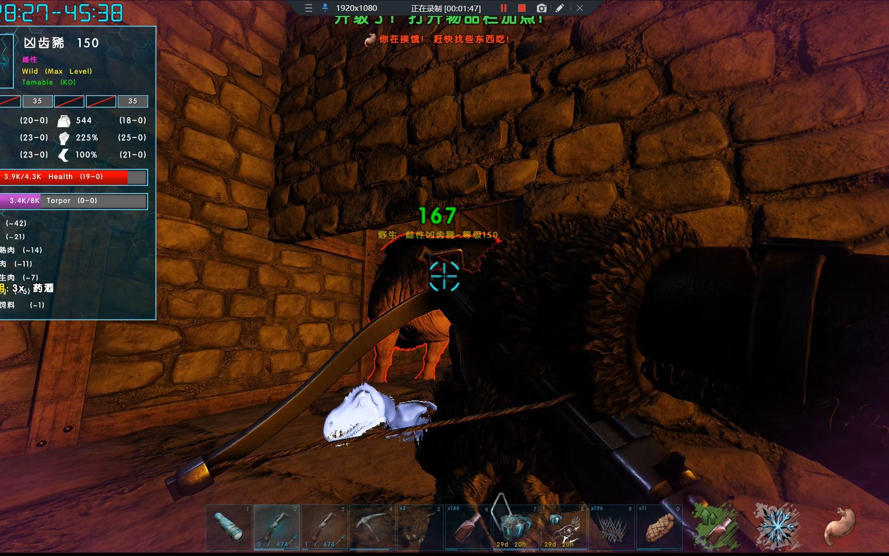 殉龙高手小兵重温方舟孤岛日记065 捕获大量凶齿豨_单机游戏热门视频