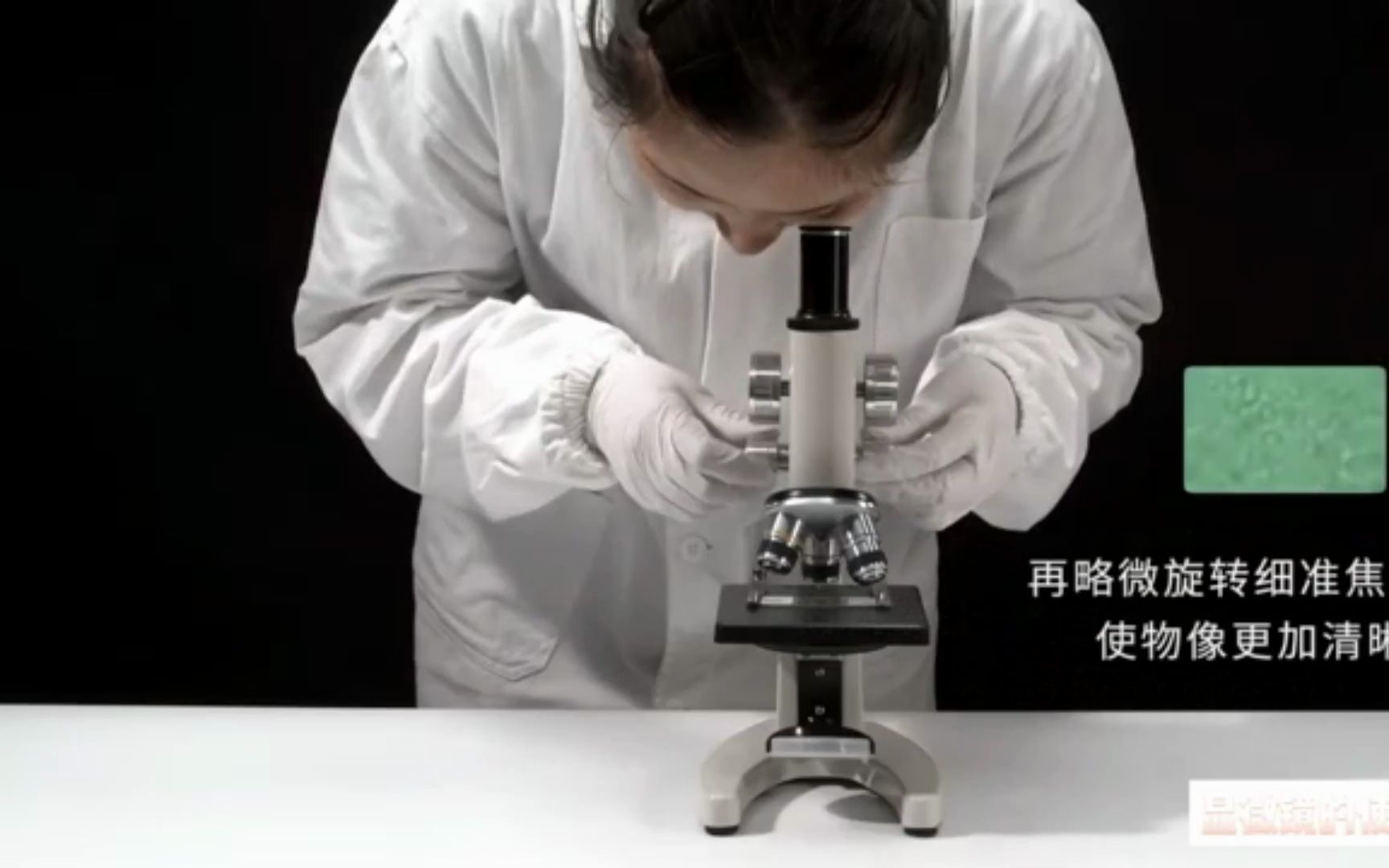 显微镜的使用