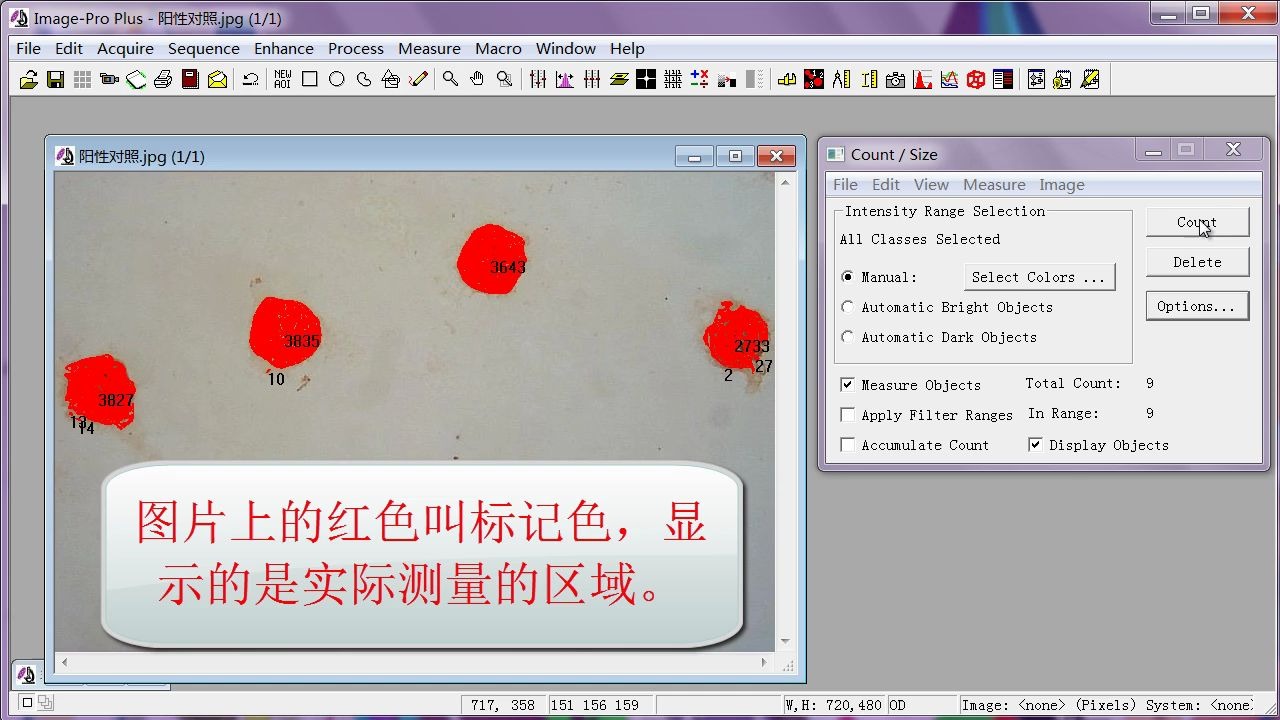 1.1_最简单的测量操作(image pro plus)