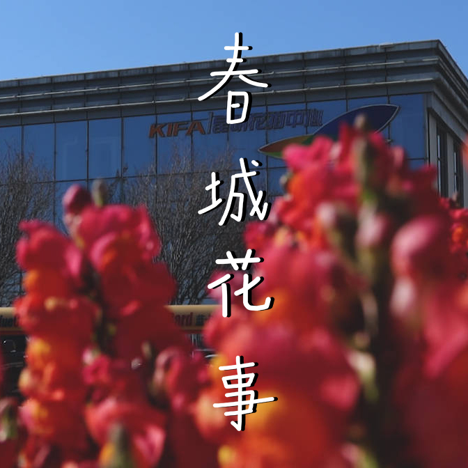 春城花事好 
