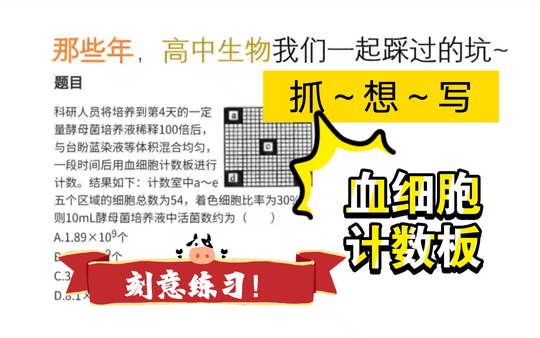 血细胞计数板计数法,你真得会吗?抓想写,那些年,高中生物我们一起踩...