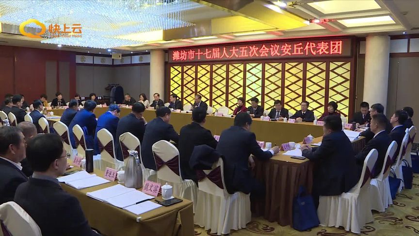 潍坊市人大代表分组审议计划、预算草案报告